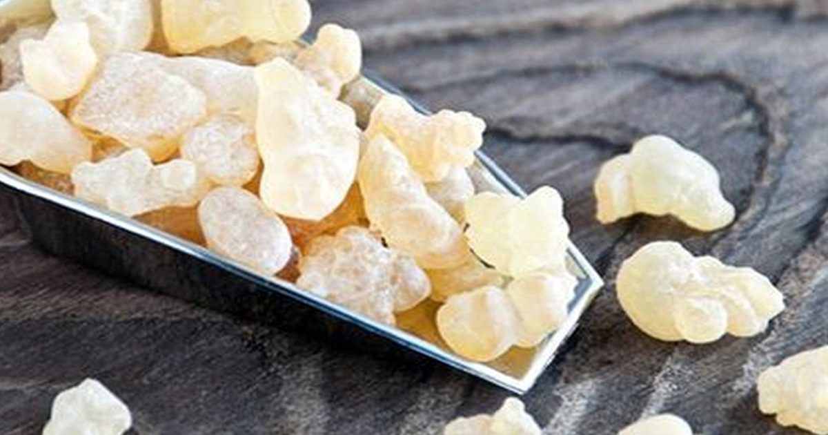 Tamaia – Darul Divin care luptă împotriva celor mai grele probleme ...