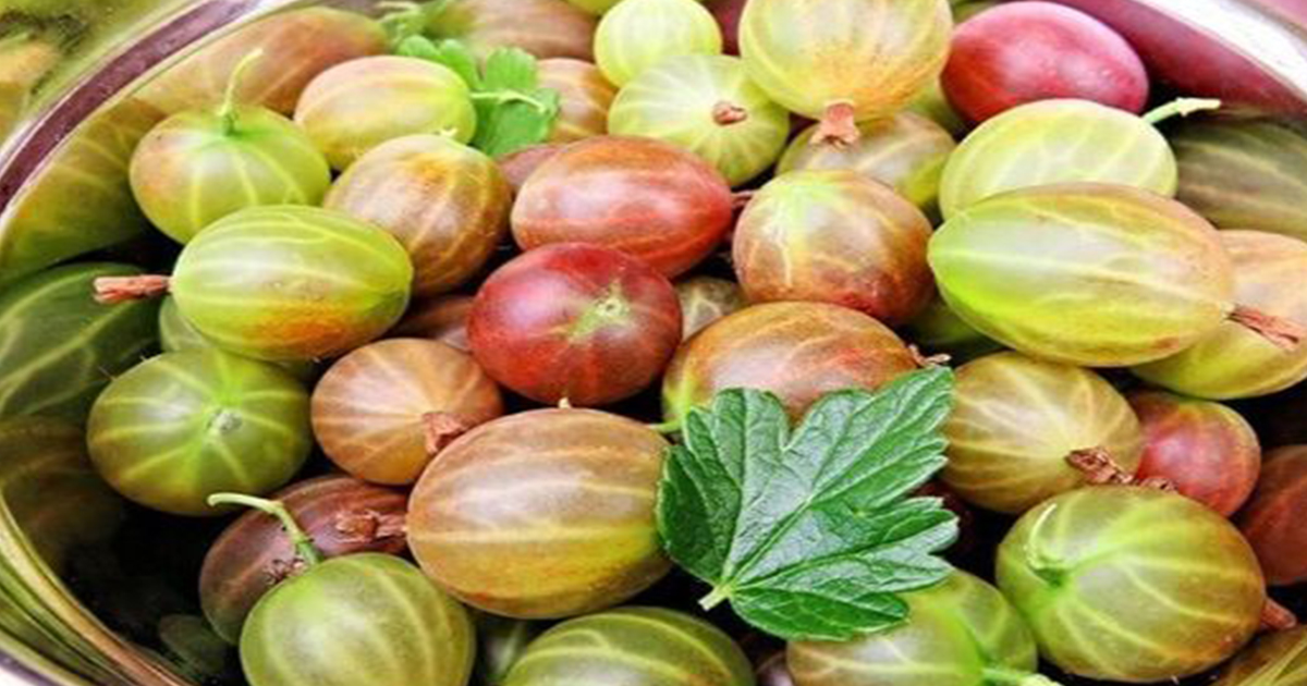 De Salvat – Fructul mai puternic decât lămâia sau portocala – O singură ...