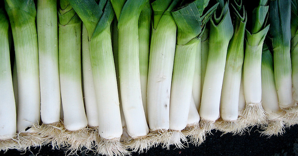 De Sezon – Ce se întâmplă în corpul tău când consumi Praz – Beneficiile ...