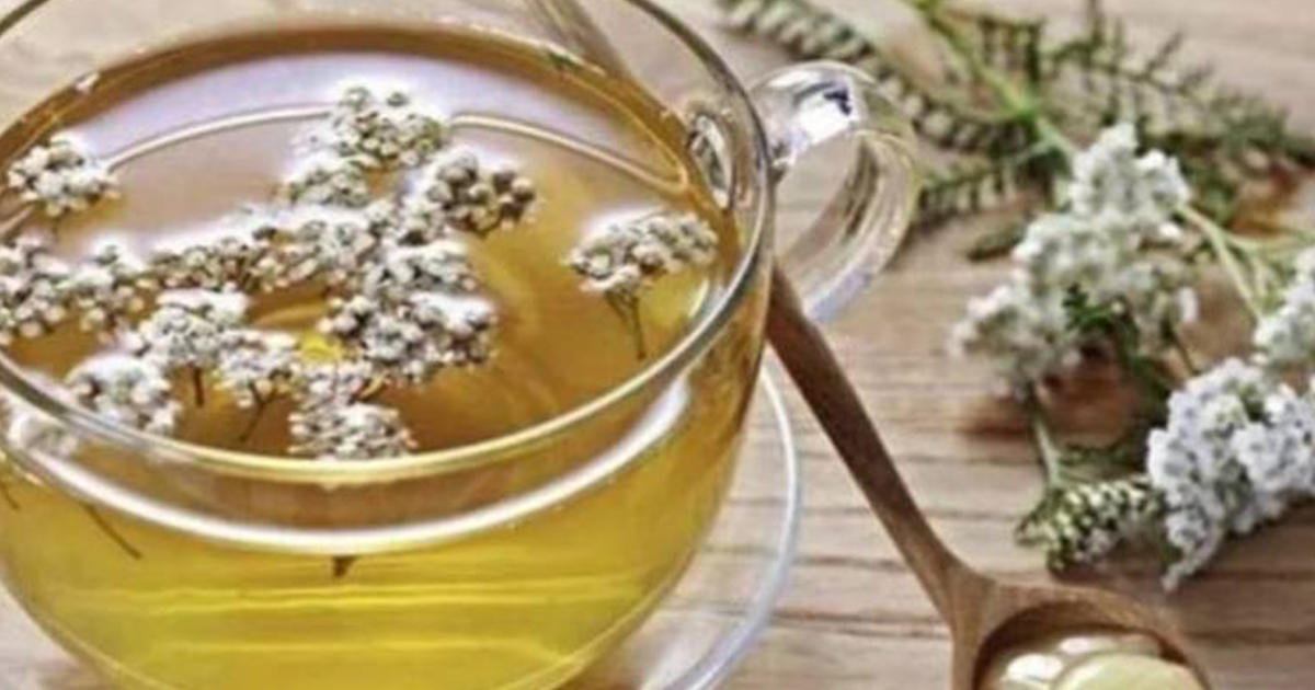 De Salvat – 10 ceaiuri din plante care te vor ajuta în problemele cu ...